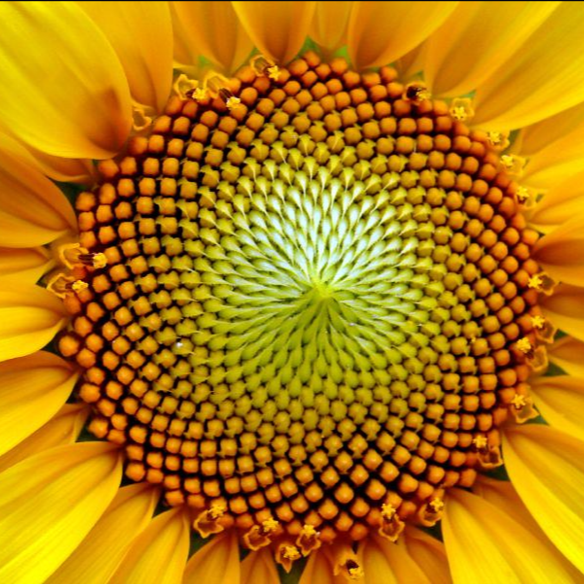 Algebra: Elementary to Advanced - Equations & Inequalities | Datafloq