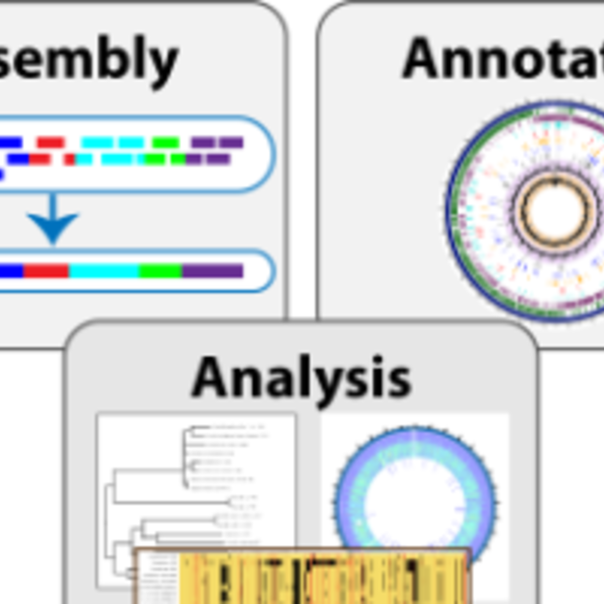 Bacterial Bioinformatics | Datafloq