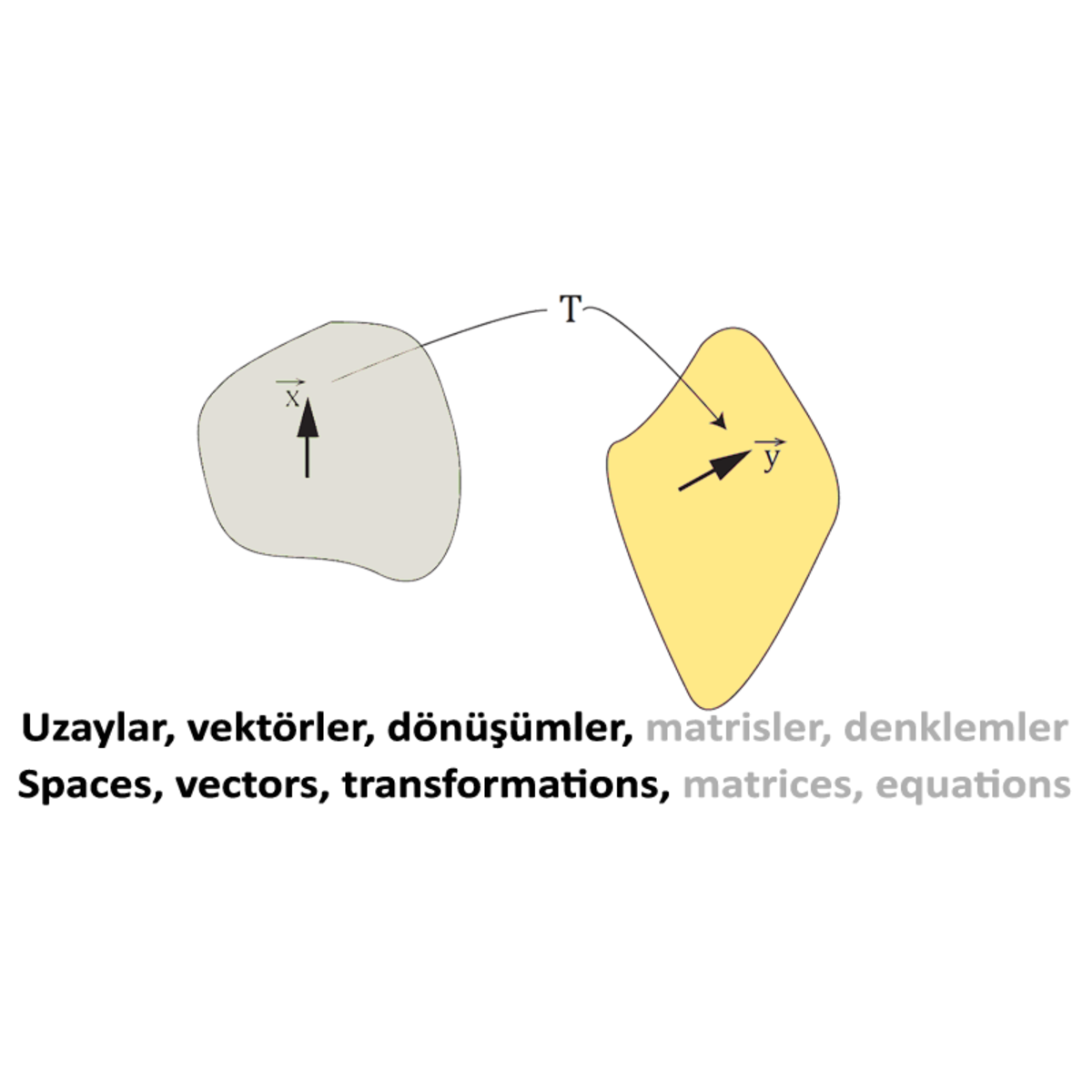 DoÄŸrusal Cebir I: Uzaylar ve Ä°ÅŸlemciler / Linear Algebra I: Spaces ...