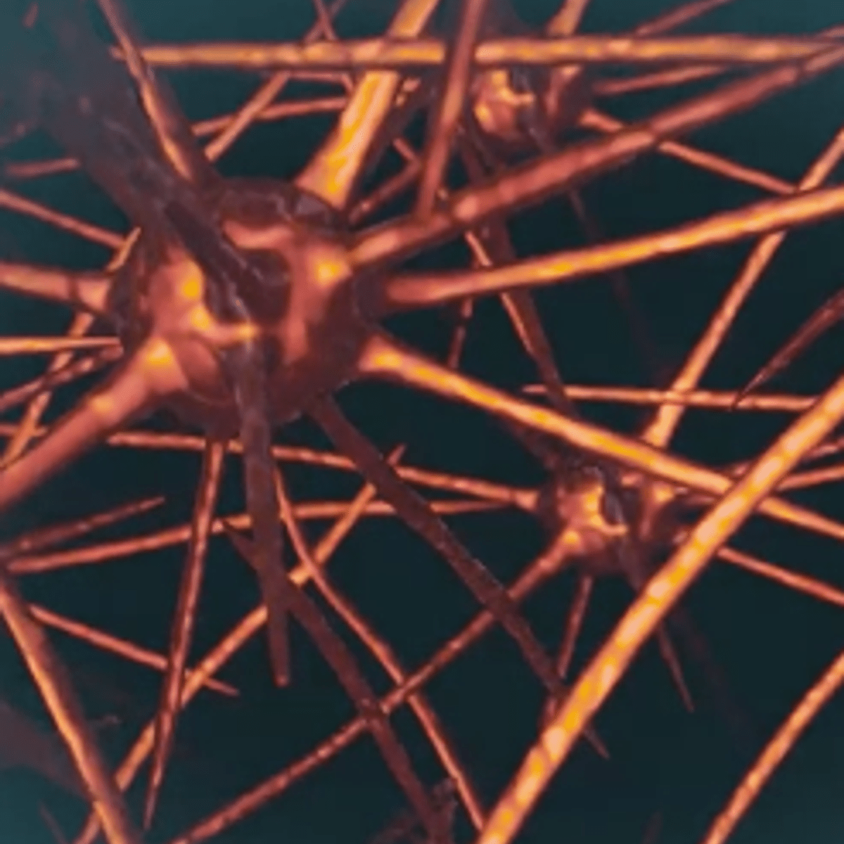 Question Reality: Matter | Datafloq