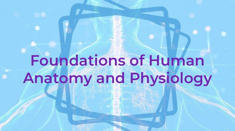 Foundations of Human Anatomy and Physiology | Datafloq
