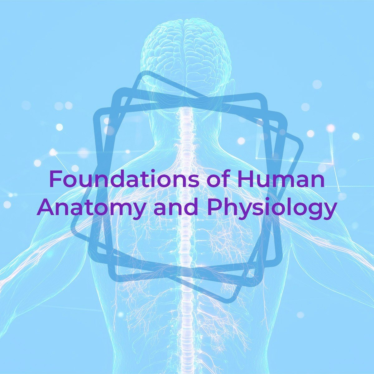 Foundations of Human Anatomy and Physiology | Datafloq