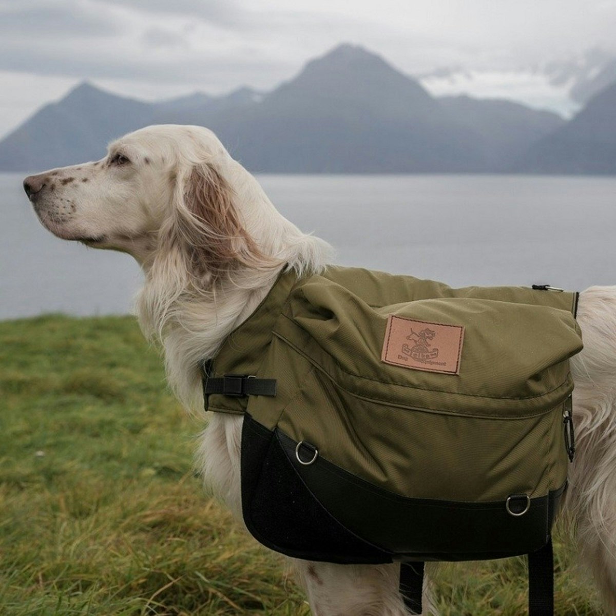 Advanced SQL Retrieval Queries in SQLiteStudio | Datafloq