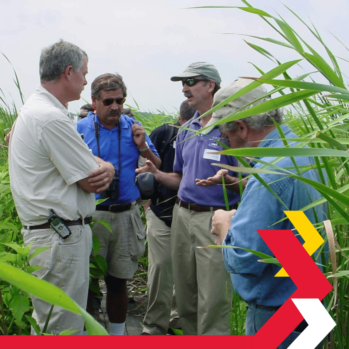 Environmental Project Management: Stakeholder Collaboration | Datafloq