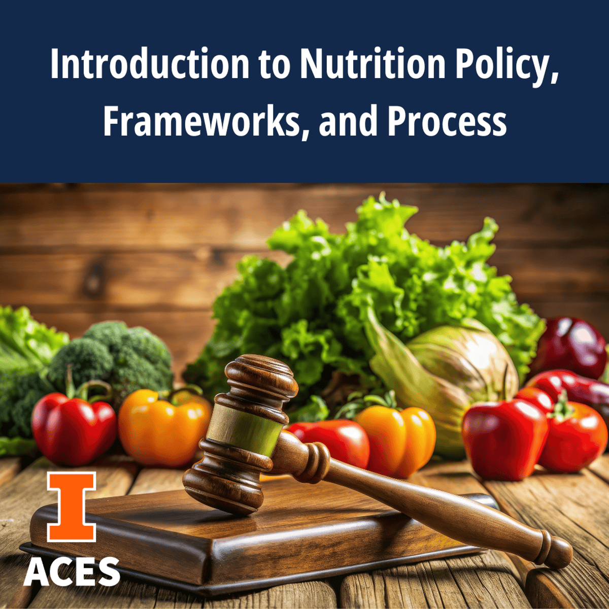 Introduction to Nutrition Policy, Frameworks, and Process | Datafloq