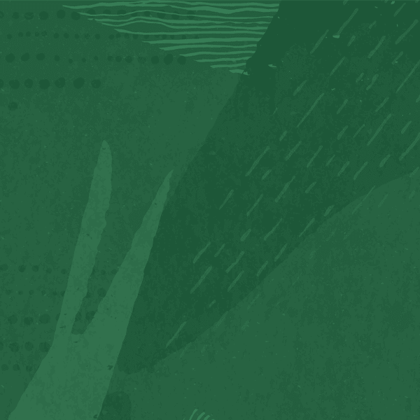 Oracle Cloud and AI Specialization Program | Datafloq